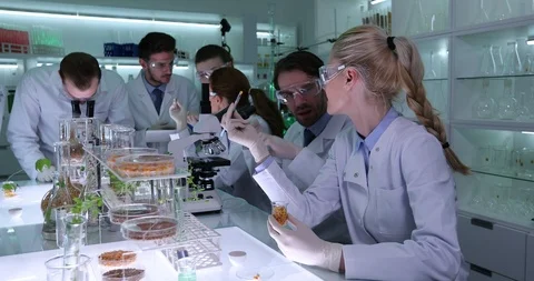 Group of Botanists Examining Organic Hyb... | Stock Video | Pond5