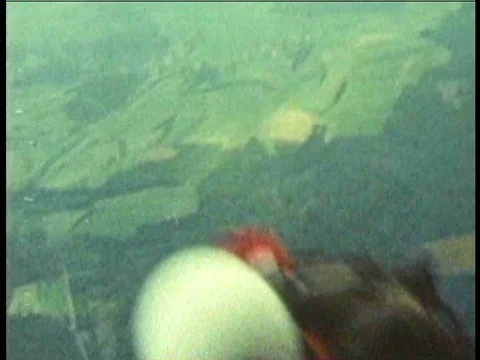 Scout Look Stock Videos – Royalty-Free HD & 4K Videos | Pond5