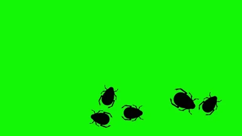 Group of bugs walking animation green sc... | Stock Video | Pond5