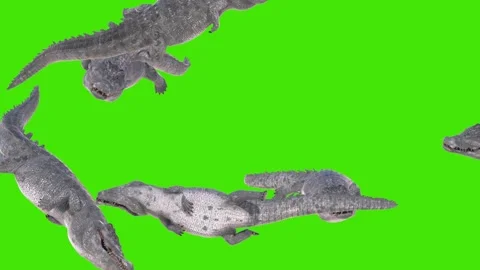 Cgi Green Screen Stock Video Footage | Royalty Free Cgi Green Screen ...