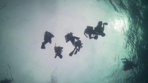 A group of diver gets together in the su... | Stock Video | Pond5