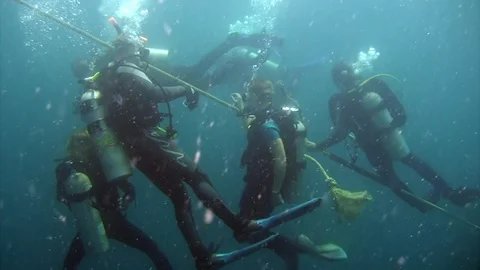 Group of diver near rope undwewater in o... | Stock Video | Pond5