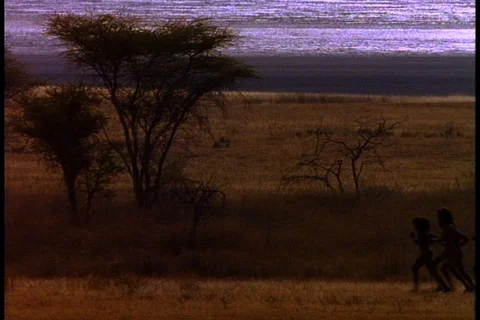 Homo Stock Video Footage | Royalty Free Homo Videos | Pond5