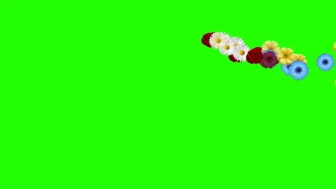 group of flower bloom animation on green... | Stock Video | Pond5