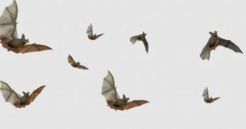 Group of Flying Bats - Animation - Loop ... | Stock Video | Pond5