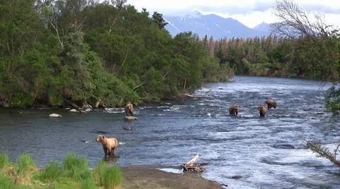 Waiting Group Stock Videos – Royalty-Free HD & 4K Videos