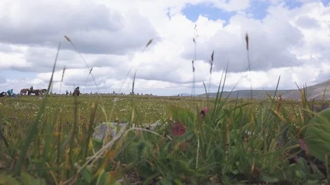 Group of horse riders having fun in the ... | Stock Video | Pond5