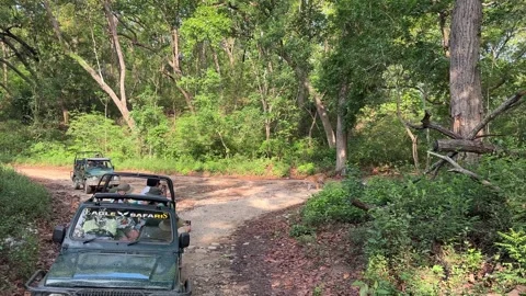 Group Of Vehicles Stock Videos – Royalty-Free HD & 4K Videos | Pond5