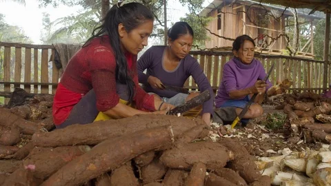 Peeling On Crowd Stock Videos – Royalty-Free HD & 4K Videos | Pond5