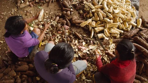 Peeling On Crowd Stock Videos – Royalty-Free HD & 4K Videos | Pond5