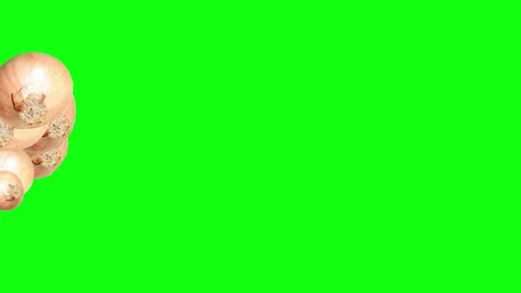 Group of Onions animation, editable back... | Stock Video | Pond5