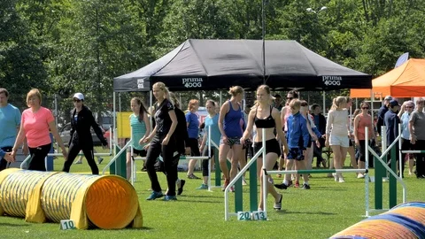 Group of people following each other on ... | Stock Video | Pond5
