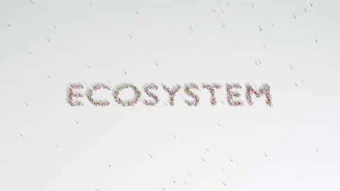Group Of People Forming ECOSYSTEM Word A... | Stock Video | Pond5