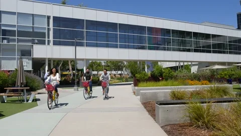 Google Grou Stock Videos – Royalty-Free HD & 4K Videos