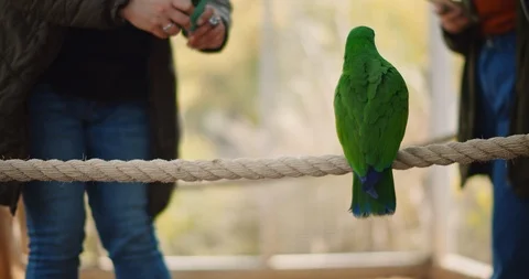 Pictures For L Stock Videos – Royalty-Free HD & 4K Videos