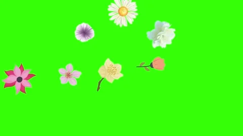 Group of spring flowers animation elemen... | Stock Video | Pond5