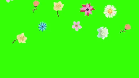Group of spring flowers animation elemen... | Stock Video | Pond5