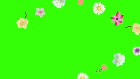 Group of spring flowers animation elemen... | Stock Video | Pond5