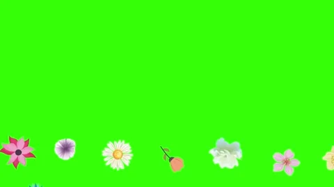 Group of spring flowers animation elemen... | Stock Video | Pond5