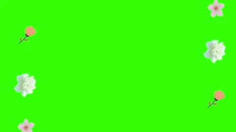 Group of spring flowers animation elemen... | Stock Video | Pond5