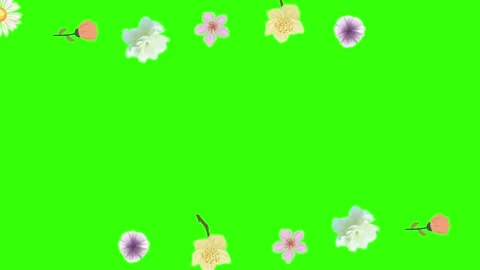 Group of spring flowers animation elemen... | Stock Video | Pond5