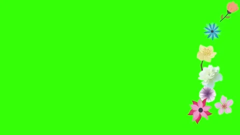 Group of spring flowers animation elemen... | Stock Video | Pond5