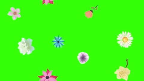 Group of spring flowers animation elemen... | Stock Video | Pond5