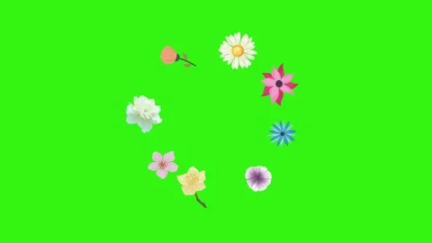 Group of spring flowers animation elemen... | Stock Video | Pond5