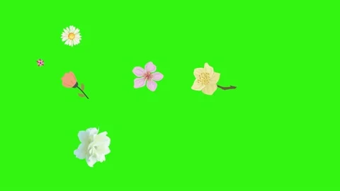 Group of spring flowers animation elemen... | Stock Video | Pond5