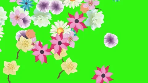 Group of spring flowers animation elemen... | Stock Video | Pond5