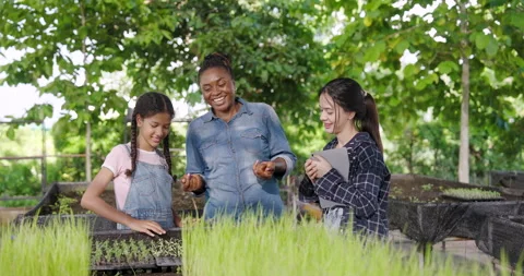 Asian Group Smiling Stock Videos – Royalty-Free HD & 4K Videos