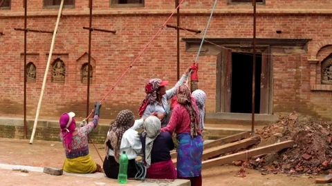 Women Group Work Stock Videos – Royalty-Free HD & 4K Videos