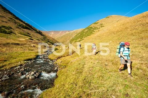 Group of young hikers trekking in mountains. Two women two men ...