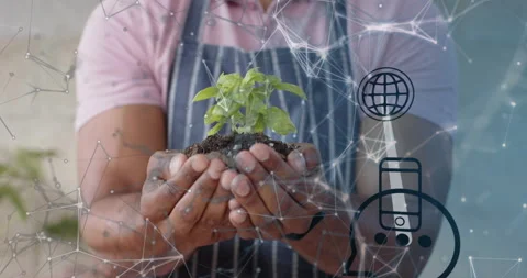 Grower App Stock Videos – Royalty-Free HD & 4K Videos | Pond5