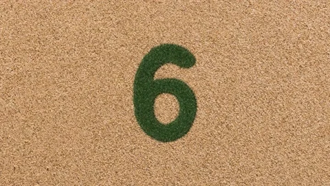 Growing Grass Numbers Counting Up 6 to 1... | Stock Video | Pond5