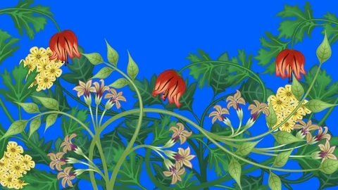 Growing plants and vines animation on bl... | Stock Video | Pond5