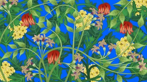 Growing Vines Animation Stock Videos – Royalty-Free HD & 4K Videos | Pond5