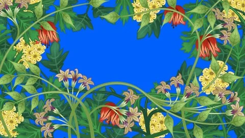 Growing Vines Animation Stock Videos – Royalty-Free HD & 4K Videos | Pond5