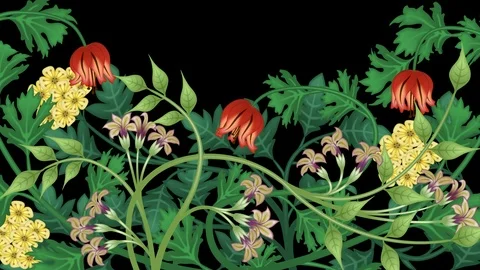 Growing Vines Animation Stock Videos – Royalty-Free HD & 4K Videos | Pond5