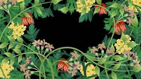 Growing Vines Animation Stock Videos – Royalty-Free HD & 4K Videos | Pond5