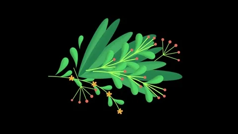 Growing plants and vines animation on bl... | Stock Video | Pond5