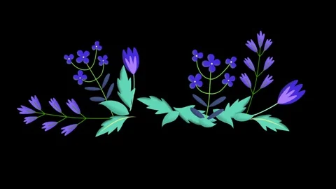 Growing Vines Animation Stock Videos – Royalty-Free HD & 4K Videos | Pond5