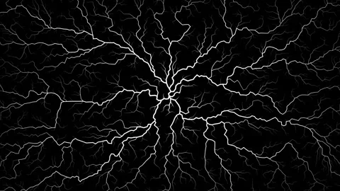 Growing Tree With Roots Stock Footage ~ Royalty Free Stock Videos | Pond5