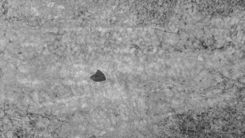 Grunge background, animated concrete tex... | Stock Video | Pond5