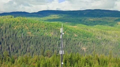 4K Antenna Forest Stock Video Footage | Royalty Free 4K Antenna Forest ...