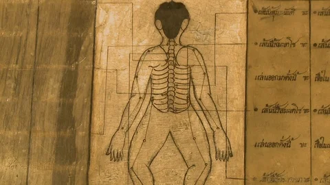 A guide map of the pressure points of a ... | Stock Video | Pond5