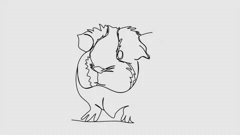 Video Line Drawing Stock Video Footage | Royalty Free Video Line ...