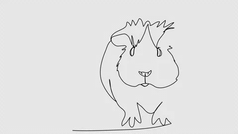 Clip Drawing Stock Videos – Royalty-Free HD & 4K Videos | Page 5