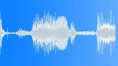 Western Gun Shot Sound Effects ~ Western Gun Shot Sounds | Pond5