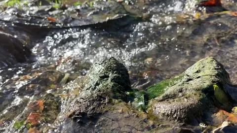 Gurgling Stock Video Footage | Royalty Free Gurgling Videos | Pond5